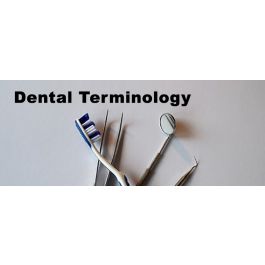 Dental Terminology