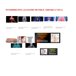 Interpreting Anatomy Bundle